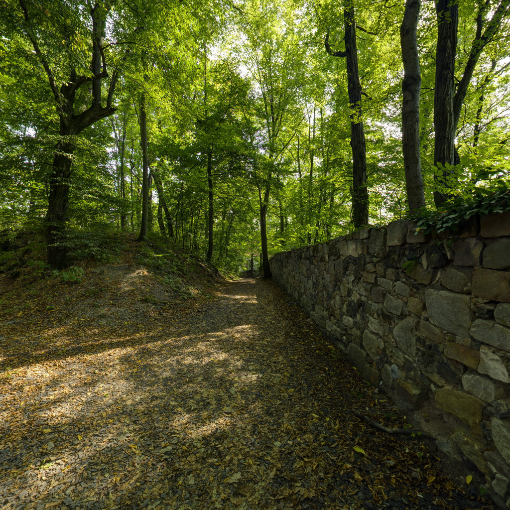 Wirtualny spacer - Rezerwat przyrody Góra Zamkowa